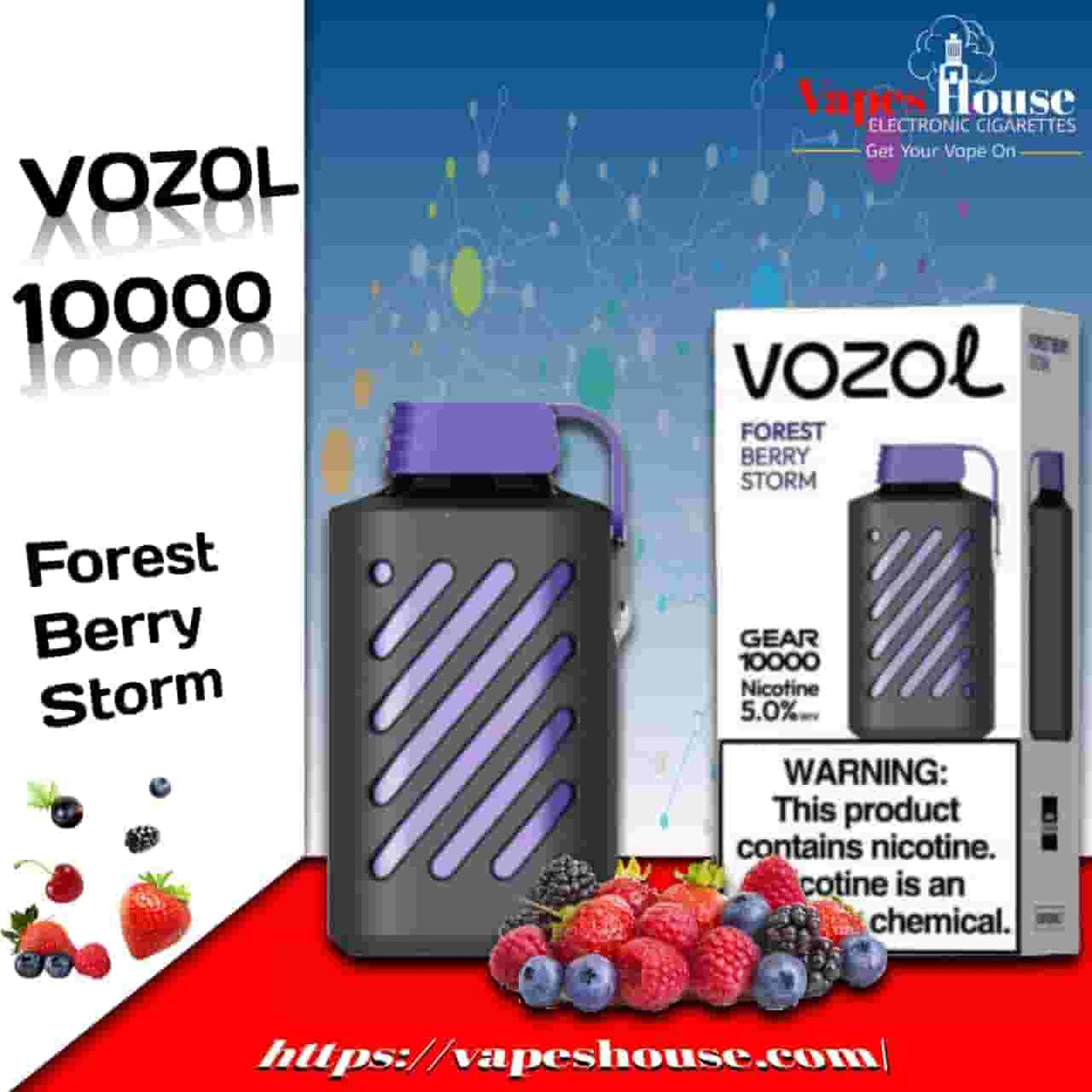 Vozol Gear Forest Berry Storm 10000 Puffs – Vapes House